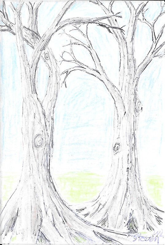 "Drawing of two trees" by magnetite360 | Redbubble