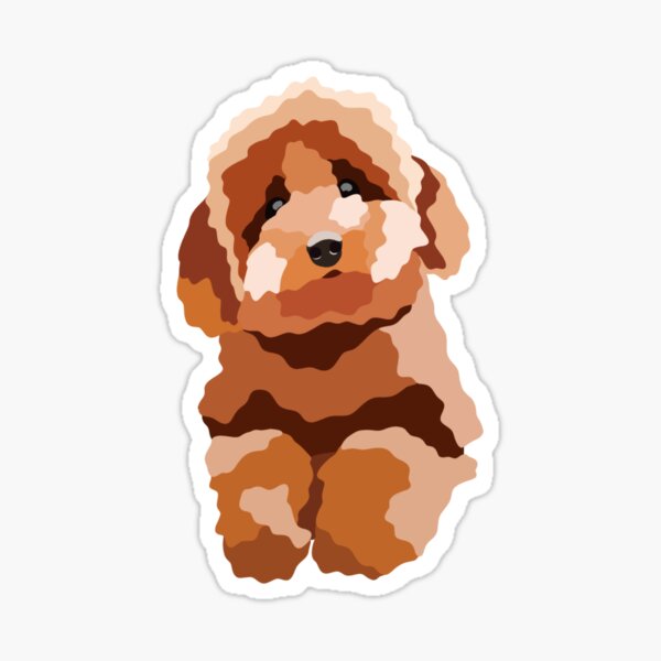 "Red Toy Poodle Dog Portrait Digital Illustration" Sticker for Sale by ...