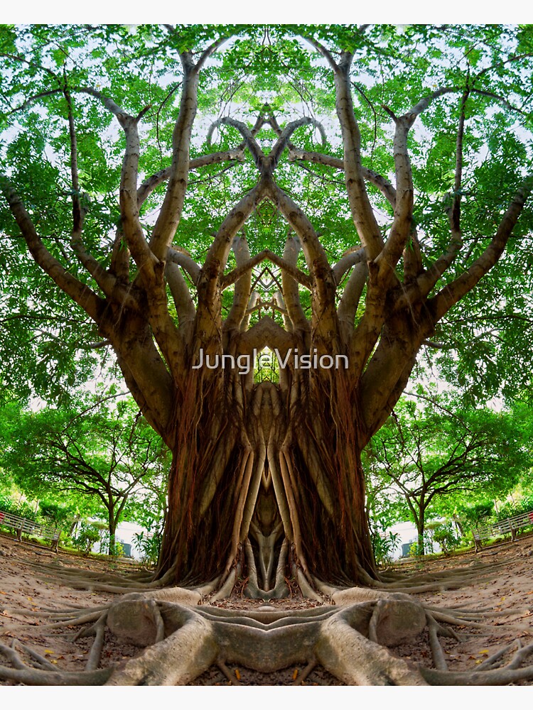 "Tree of Awakening" Sticker for Sale by JungleVision | Redbubble