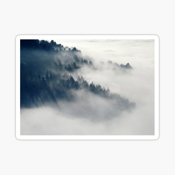 "Beautiful forest covered by fog" Sticker for Sale by sangg | Redbubble