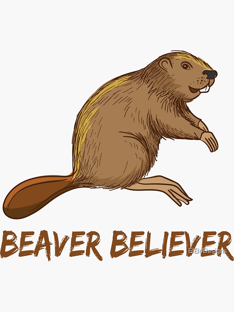 "Cute beaver" Sticker for Sale by ElBeDesigns | Redbubble