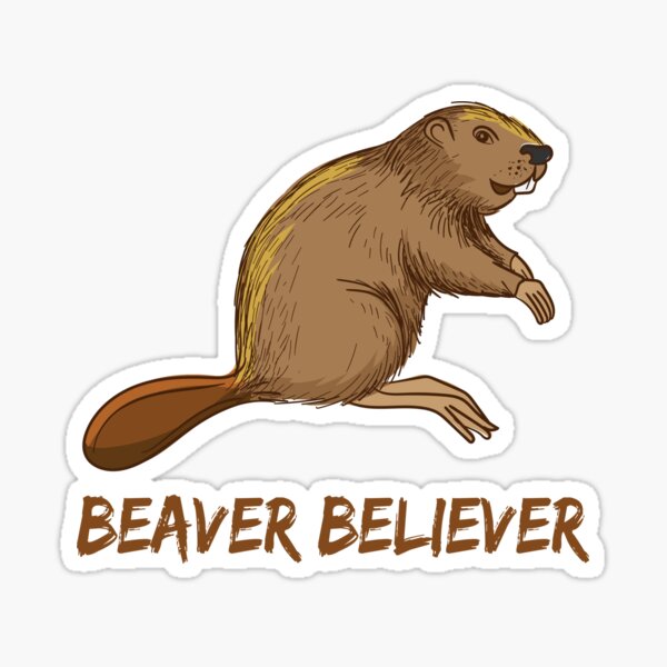 "Cute beaver" Sticker for Sale by ElBeDesigns | Redbubble