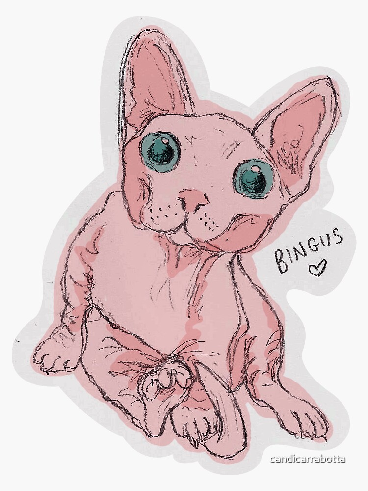 "Bingus" Sticker by candicarrabotta | Redbubble