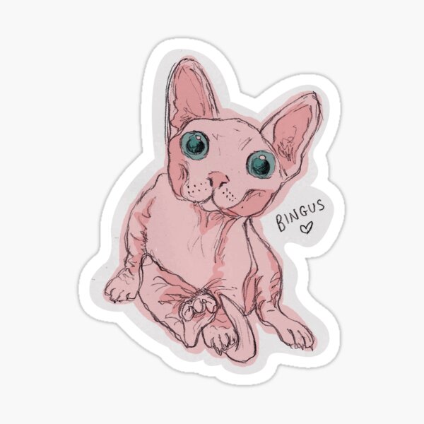 "Bingus" Sticker by candicarrabotta | Redbubble