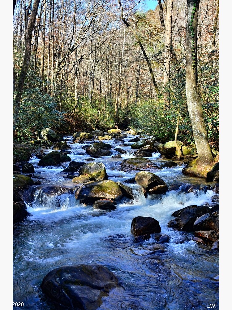 "Saluda River At Jones Gap State Park South Carolina Vertical" Poster ...