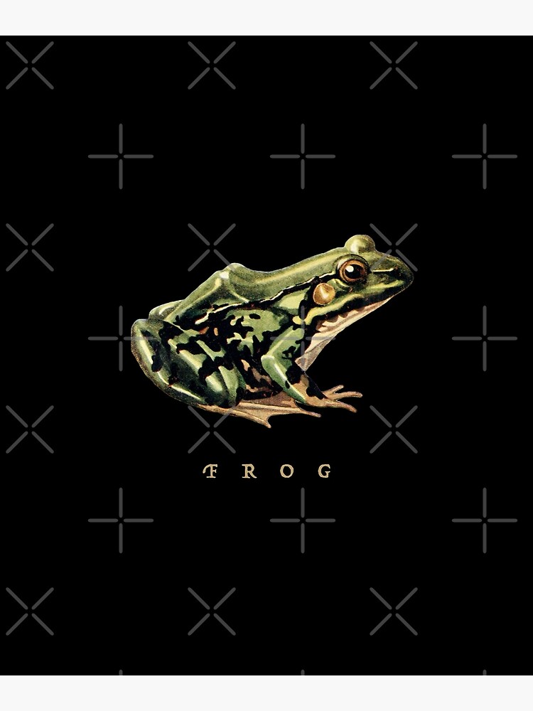 "Frog Vintage Botanical Cottagecore Aesthetic - Froggy Lover ...