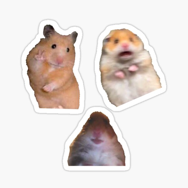 Peace Sign And Screaming Hamster Gifts & Merchandise | Redbubble