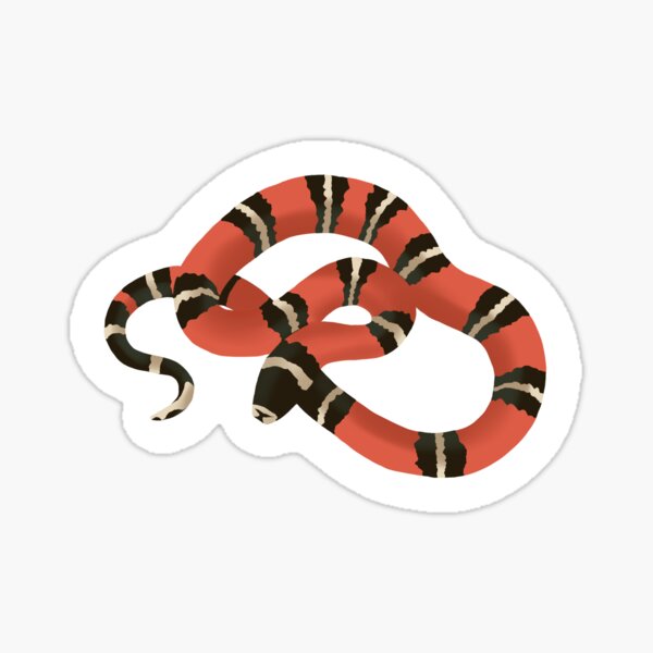 "Milk Snake" Sticker by bjsmith43 | Redbubble