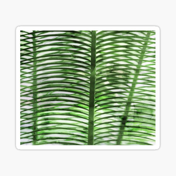 "Tropical Palm Leaf" Sticker by cafelab | Redbubble