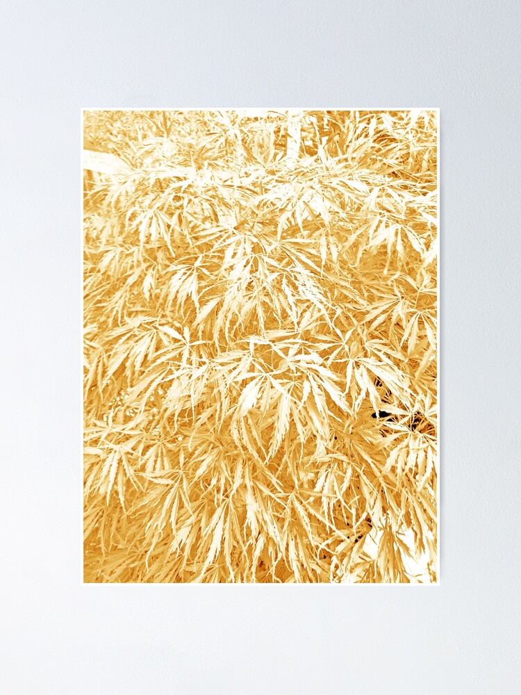 "Pink Plant - Odd Orange Variation" Poster by FuglyArt | Redbubble