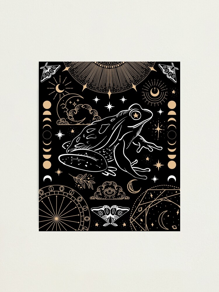 "Magic Frog Moon Phases Dark Academia Aesthetic Cottagecore Gift ...