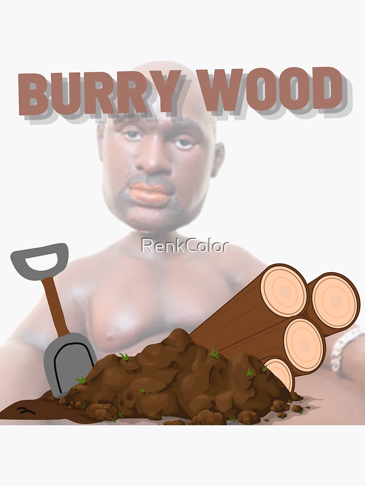 "Barry wood, yes BURRY!" Sticker for Sale by RenkColor | Redbubble