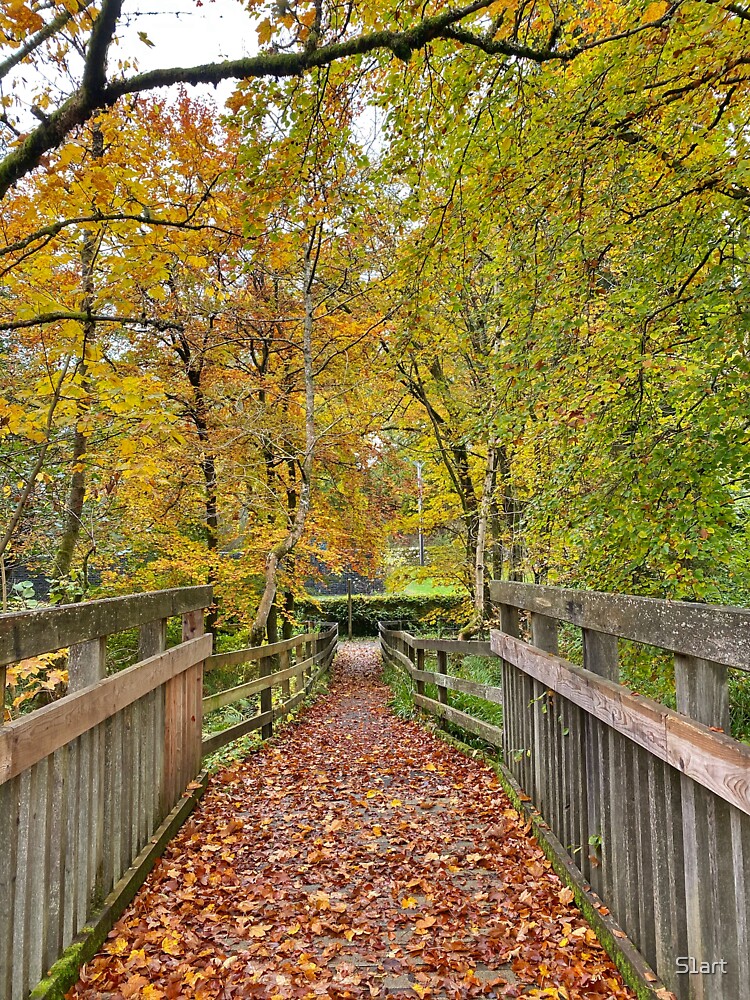 "A Crisp Walk" Sticker for Sale by S1art | Redbubble