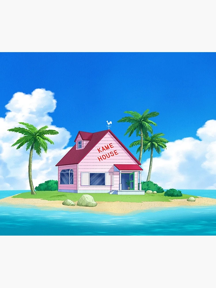 Kame House Dbz