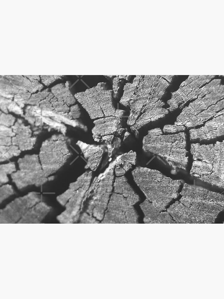 "Dry waste wood" Sticker for Sale by Treemonk | Redbubble