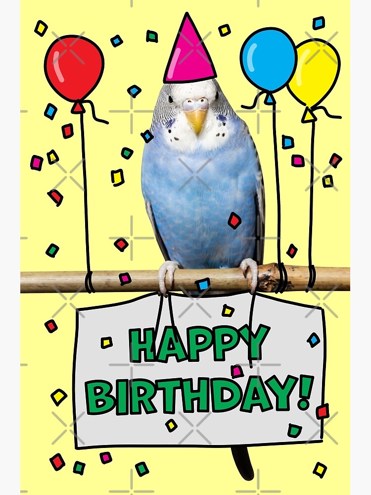 "Happy Birthday Parakeet" Greeting Card for Sale by fotollissimo ...
