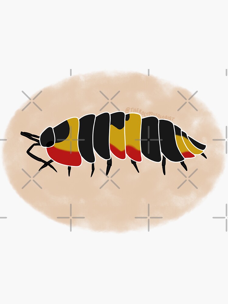 "Tricolor Isopod with Beige Background" Sticker for Sale by ...