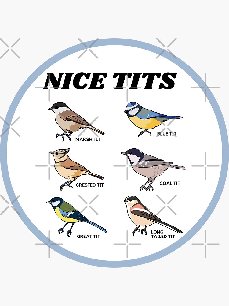 "Funny Bird Watching" Sticker for Sale by Everythingafter | Redbubble