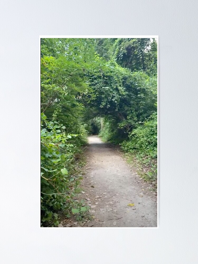 "Leafy Tunnel" Poster by Avventurosa | Redbubble