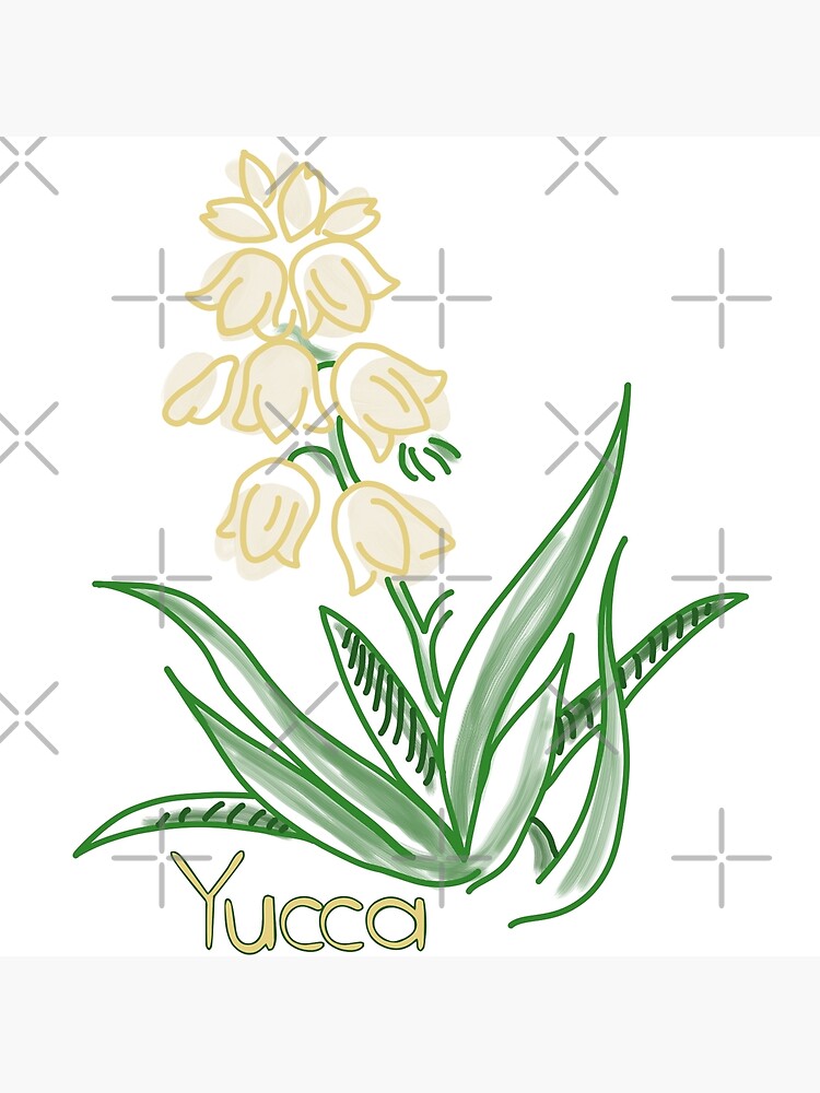 "Yucca" Poster for Sale by unhingedheather | Redbubble