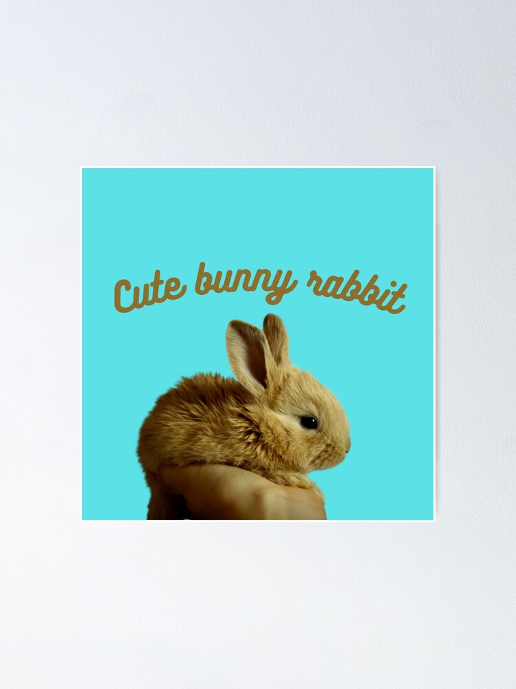 "cute bunny rabbit" Poster for Sale by Ahaa-merchs | Redbubble