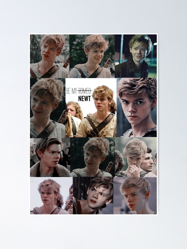 "Newt" Poster for Sale by Ghuncha101 | Redbubble