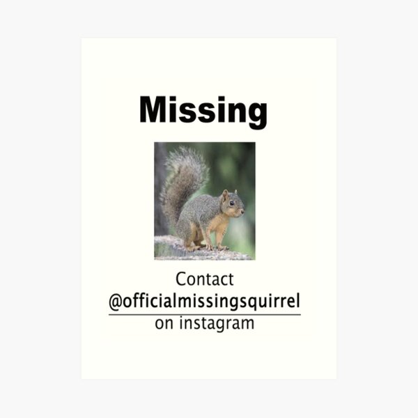"Missing Squirrel" Art Print for Sale by alexethan79 | Redbubble