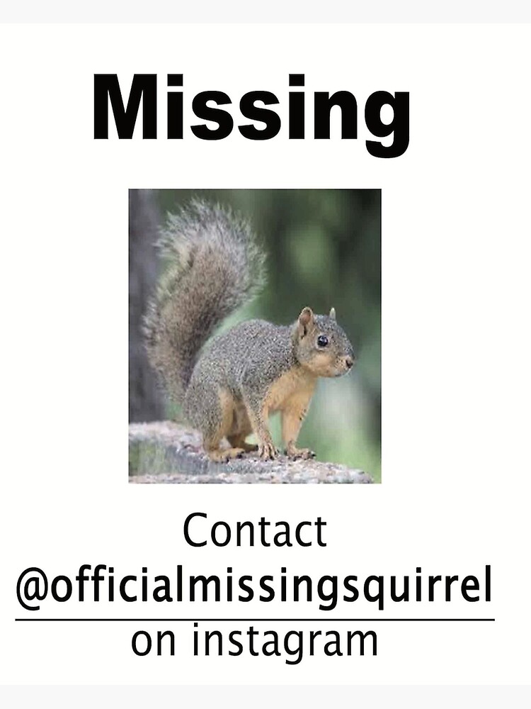 "Missing Squirrel" Art Print for Sale by alexethan79 | Redbubble
