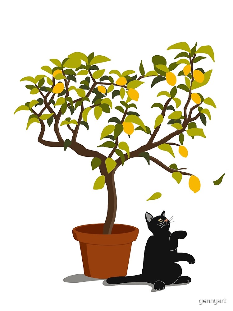 "Cute cat with lemon tree " Photographic Print for Sale by gennyart ...