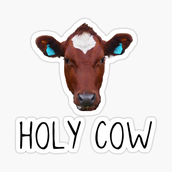 "Holy Cow" Sticker for Sale by PseudoEnergy | Redbubble