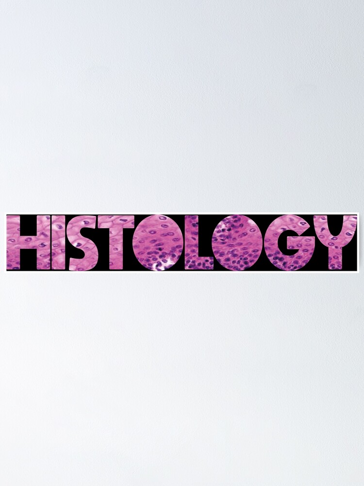 "histology" Poster by mixedshop | Redbubble