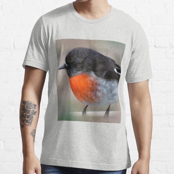 "Red Breasted Robin, Robbin Pillow" T-shirt for Sale by Ohlordi ...