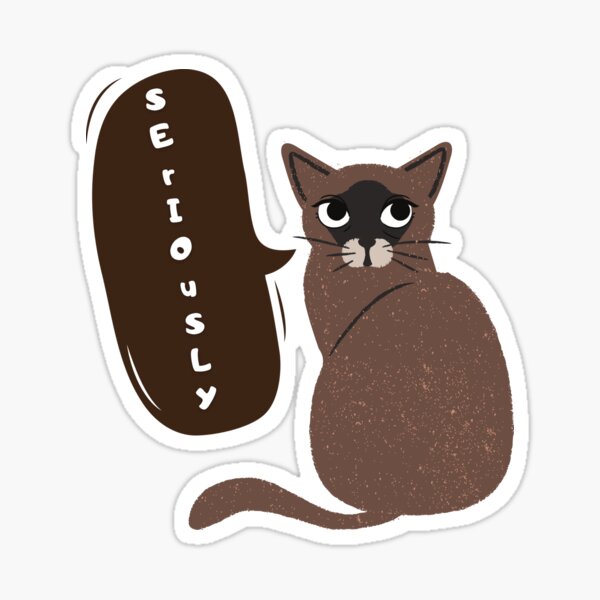 "cat seriously" Sticker for Sale by T-Vinci | Redbubble
