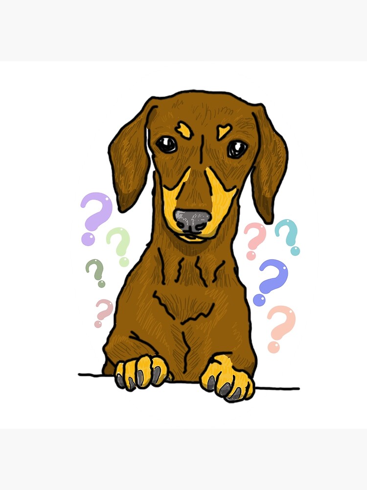 Póster «Niño confundido - color» de Lay-garcia | Redbubble