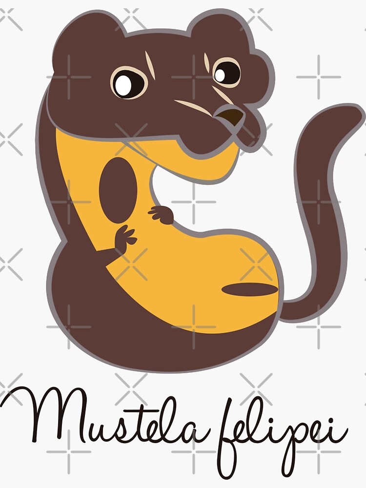 "Colombian weasel Mustela felipei" Sticker by belettelepink | Redbubble