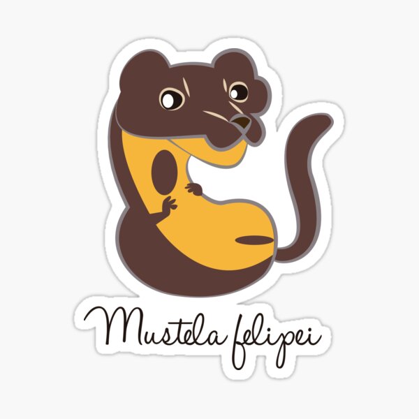 "Colombian weasel Mustela felipei" Sticker by belettelepink | Redbubble