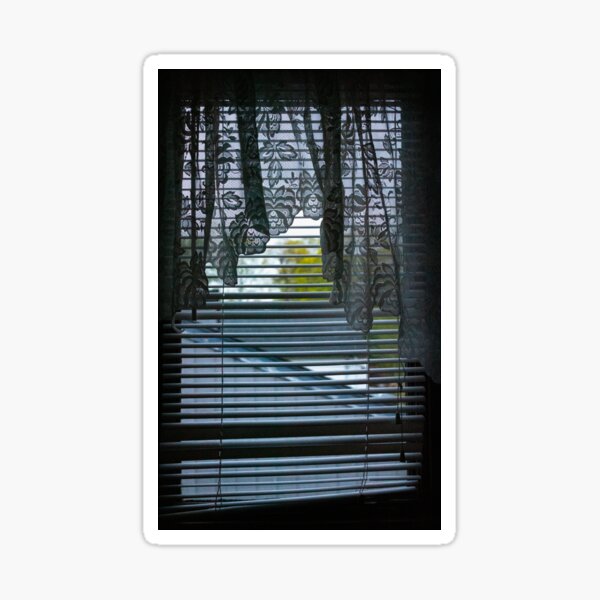 "Window with Lace Curtains " Sticker for Sale by beebatch | Redbubble