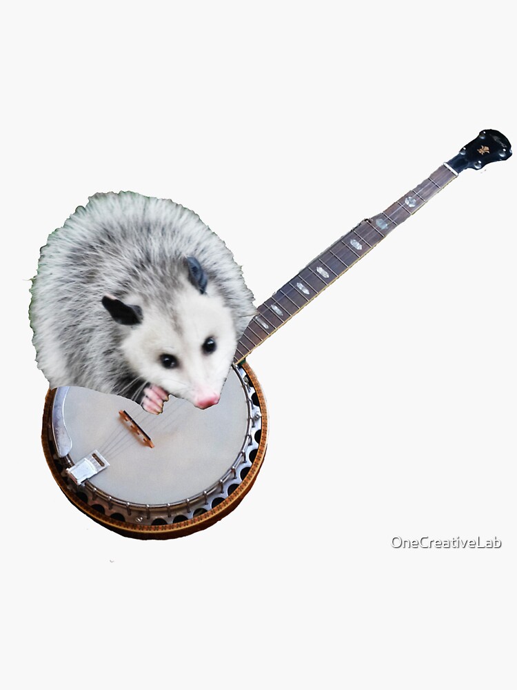 "Possum playing banjo" Sticker for Sale by OneCreativeLab | Redbubble