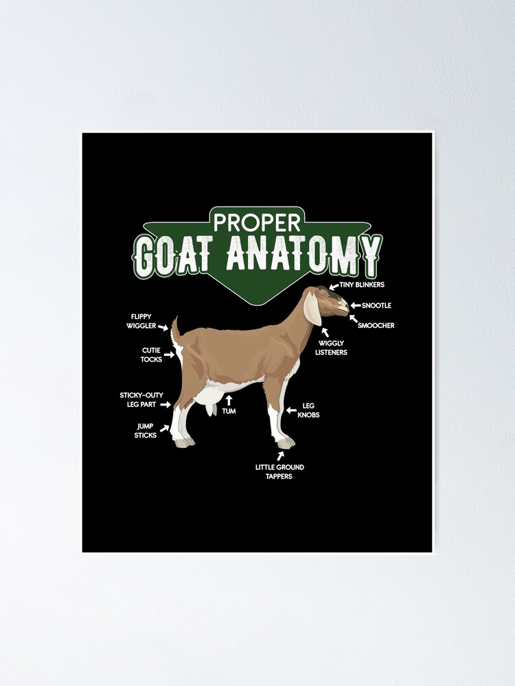 "Proper Goat Anatomy – Funny Meme Design" Poster by PrintPress | Redbubble