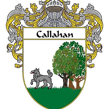 "Callahan Coat of Arms/Family Crest" Pullover Hoodie for Sale by ...