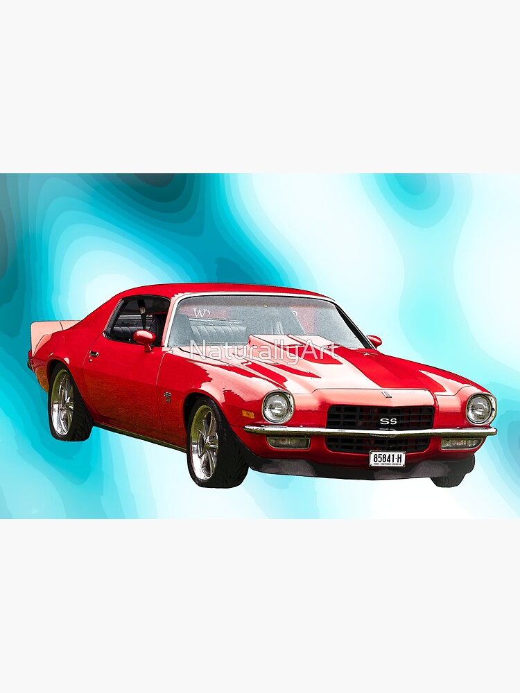 "Holden SS" Sticker by NaturallyArt | Redbubble