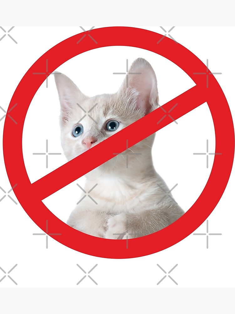 "NO CATS SIGN" Poster for Sale by TheMikis | Redbubble