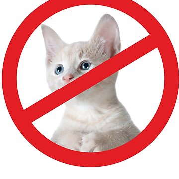 "NO CATS SIGN" Poster for Sale by TheMikis | Redbubble