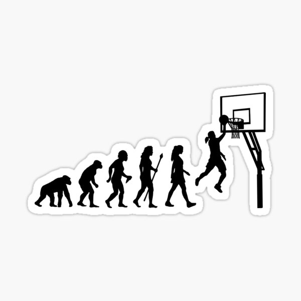 "Funny Women's Basketball Evolution" Sticker for Sale by BeyondEvolved ...