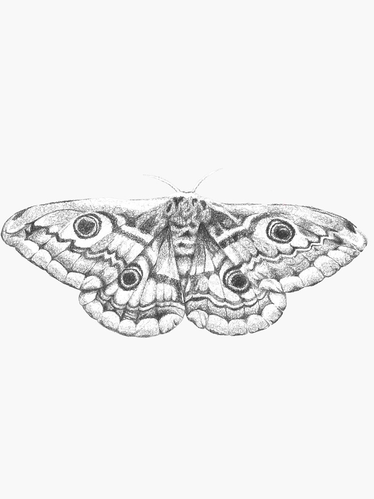"Light Realistic Moth [Greyscale]" Sticker for Sale by Kewy | Redbubble