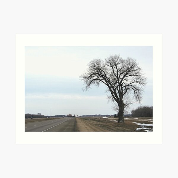 "The Half Way Tree (between Winnipeg & Brandon MB)" Art Print by ...