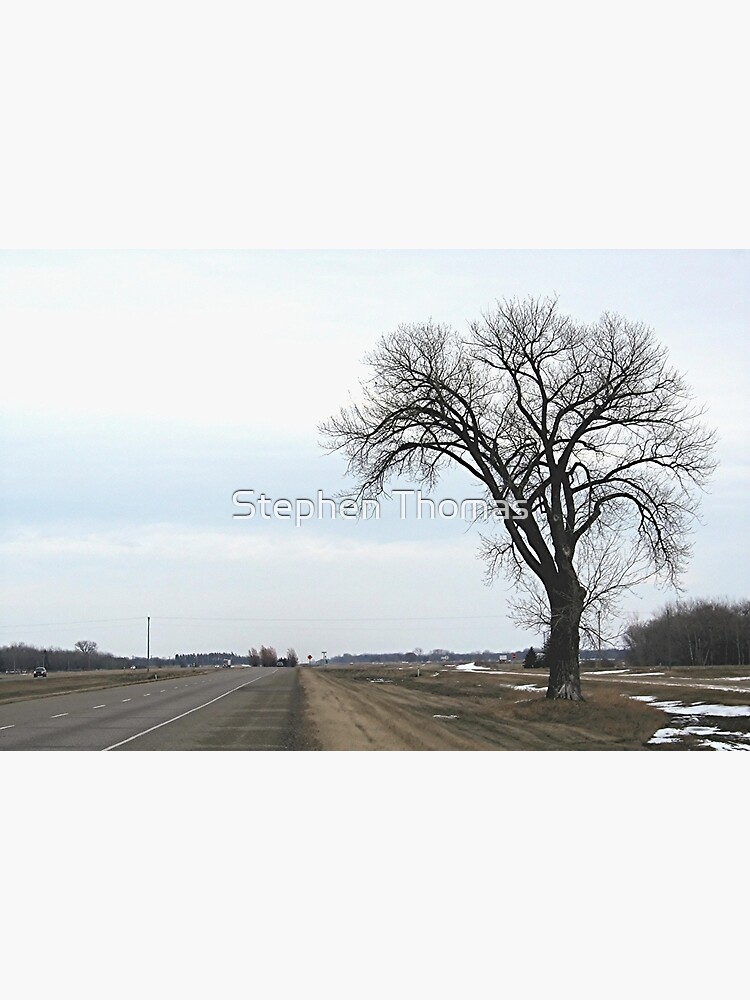 "The Half Way Tree (between Winnipeg & Brandon MB)" Art Print by ...