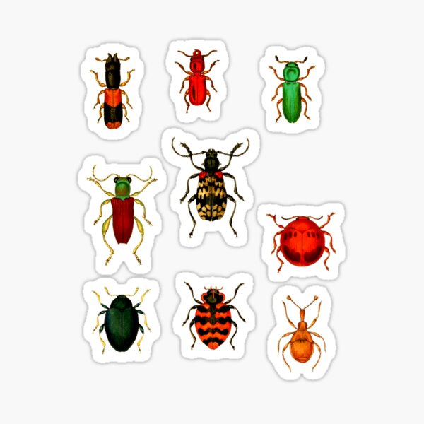 "Beetle Bugs Pack" Sticker for Sale by softbluehum | Redbubble