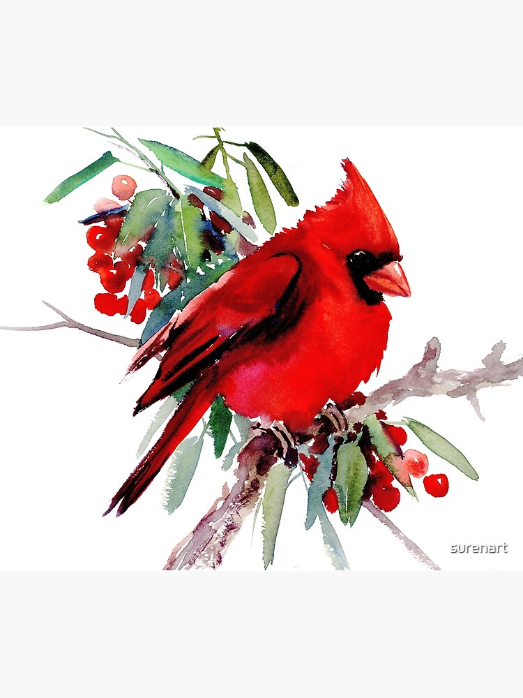 "Red Cardinal" Throw Blanket for Sale by surenart | Redbubble