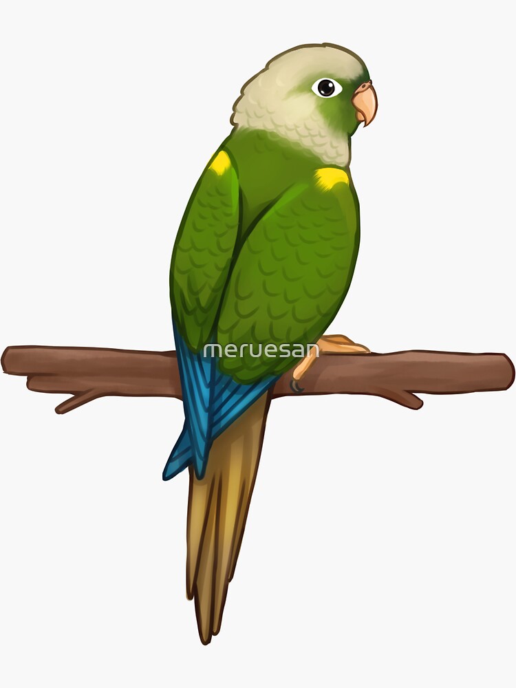 "Cute Conure" Sticker for Sale by meruesan | Redbubble